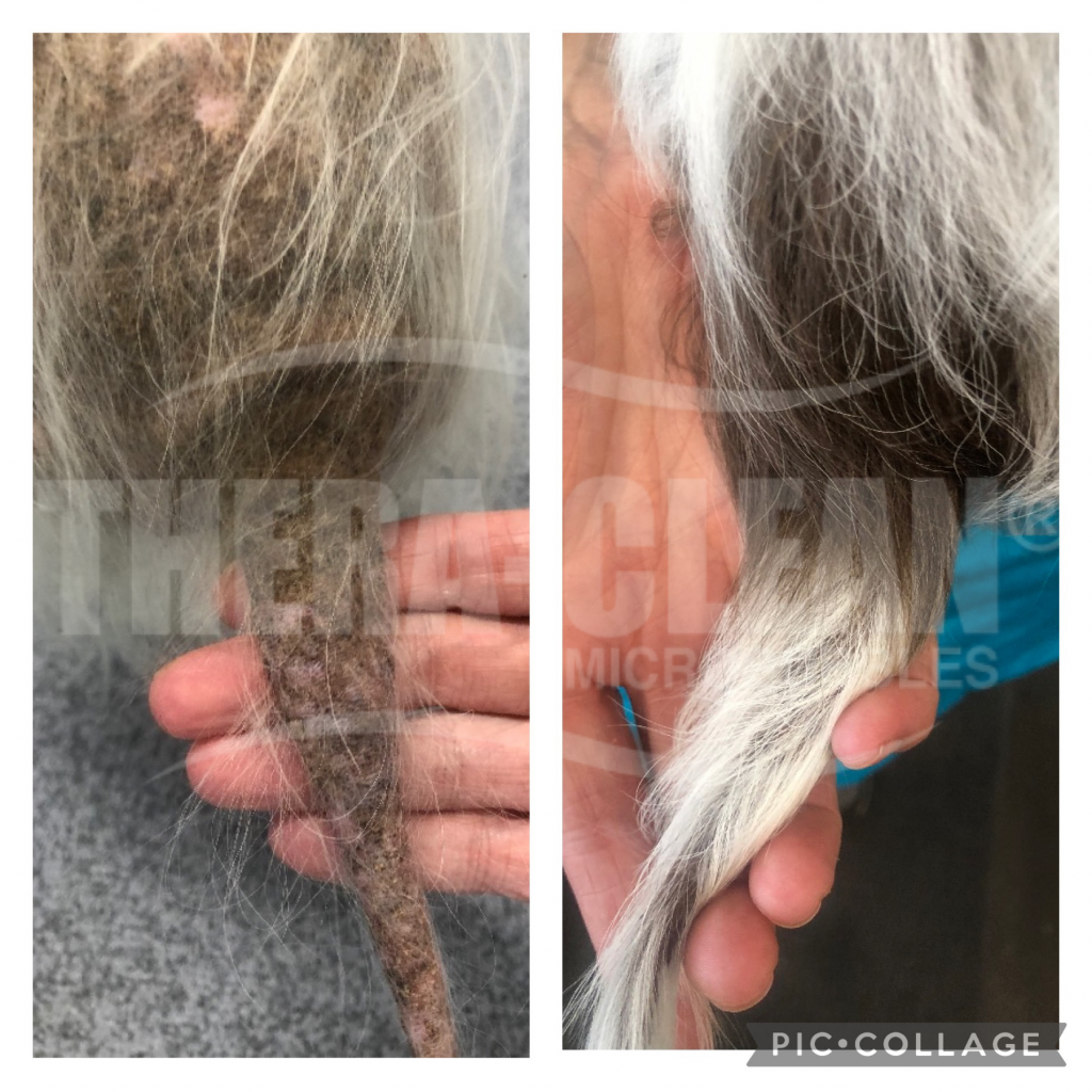 Thera-Clean® Microbubbles – Naturally Canine Grooming